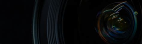 Photo Gallery Stepes