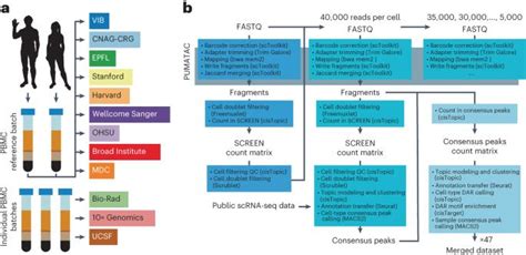Thiago Carvalho On Linkedin Benchmarking Of Single Cell Atac