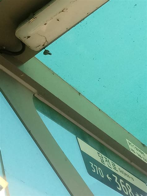 Balloon Sex Balloon Sex Twitter