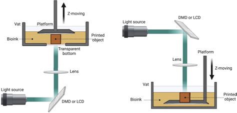 Stereolithography Apparatus And Digital Light Processing Based 3d Bioprinting For Tissue