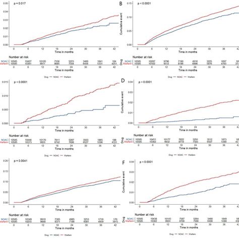 Weighted Cumulative Incidence Curves Of The Primary Outcomes Between Download Scientific
