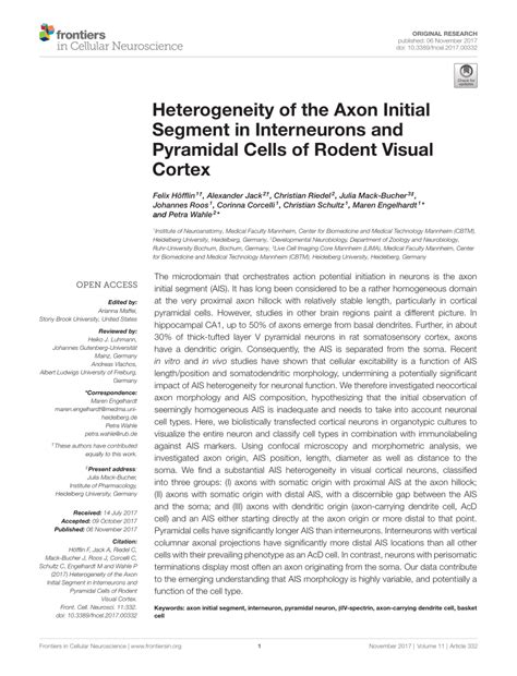 Pdf Heterogeneity Of The Axon Initial Segment In Interneurons And