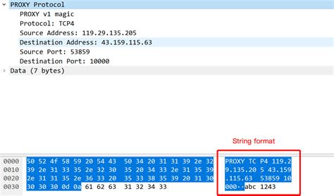 Learn About Proxy Protocol V1 And V2 Tcpv4 Tcpv6 Udpv4 Udpv6