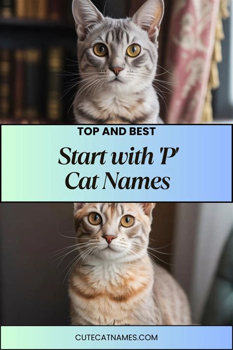 Scientist Cat Names Chemistry Physics And Scientific Naming Ideas For