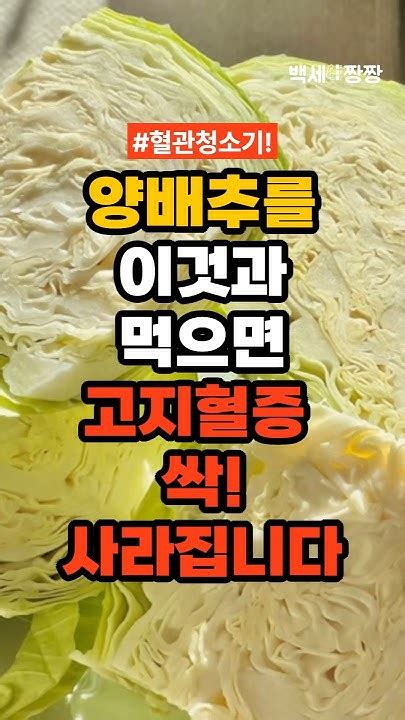 양배추를 이것과 먹으면 고지혈증 싹 사라집니다 양배추 고지혈증 고지혈증에좋은음식 양배추다이어트 고지혈증치료 혈관건강