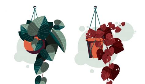 디자인을 매달려 장식 Houseplant 아이콘 클래식 컬러 Eps Ai Uidownload