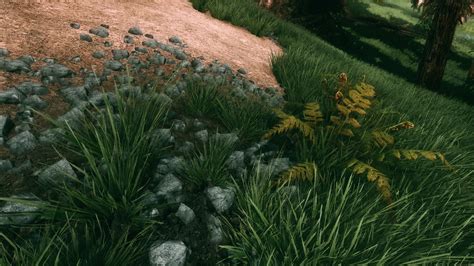 Grass 9 At Skyrim Nexus Mods And Community