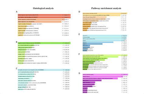 ontological analysis and pathway enrichment analysis of shared