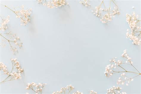 배경에 장식 식물 무료 사진