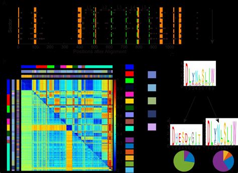 李志远课题组 标准化框架促进nrps的功能预测和结构分析 北京大学定量生物学中心