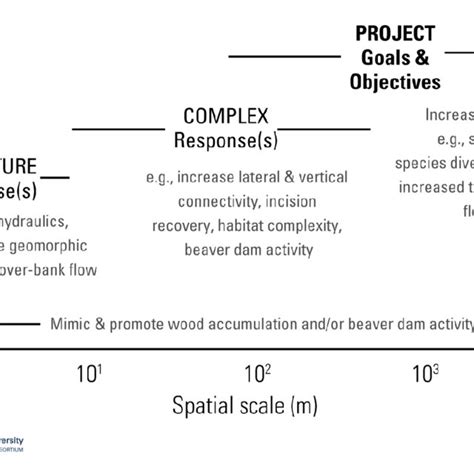 conceptual figure illustrating the overlap in spatial scale extent