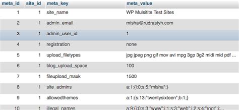 Wordpress Multisite Database Tutorial