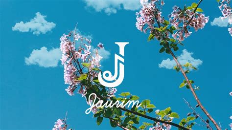 Playlist 활짝 핀 꽃들과 보며💐 봄노래 피아노 연주 모음 ⎮ 중간광고 없음 Youtube Music