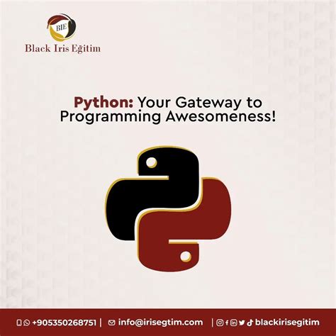Black Iris Egitim On Linkedin Pythonsyntax Pythonprojects Passionforlearning Pythonprowess