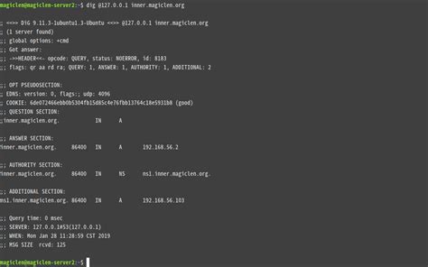 使用ubuntu Server架設網域名稱伺服器dns Domain Name Server Magiclen