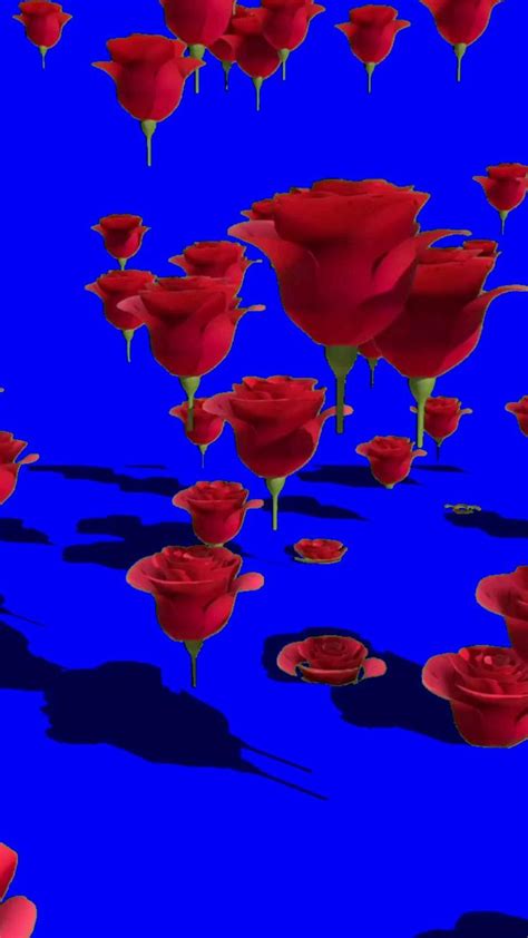 Pin On Видео для открыток