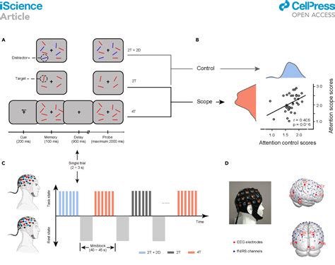 Figure 1 From Neurovascular Coupling In The Attention During Visual Working Memory Processes