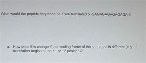 Solved What Would The Peptide Sequence Be If You Translated Chegg Com