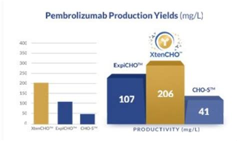 Recombinant Antibody Services Proteogenix