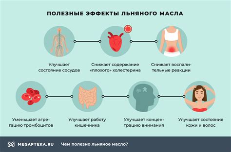 Льняное масло: Польза и вред, состав, как принимать, противопоказания