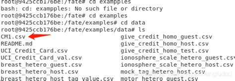 copying between containers is not supported csdn博客
