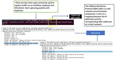 IP Forwarding
