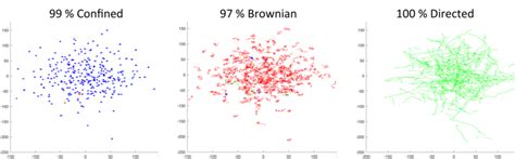 Figure Supplement 1 Validation Of The Statistical Method Using Download Scientific Diagram