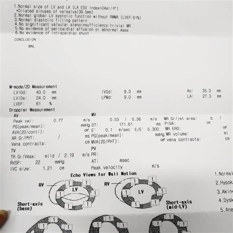 심장초음파결과지 해석 부탁합니다 지식in