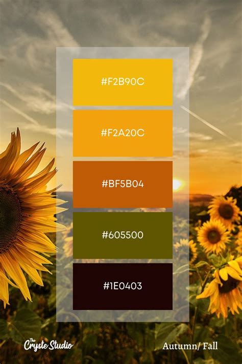 Vibrant Fall Color Palette
