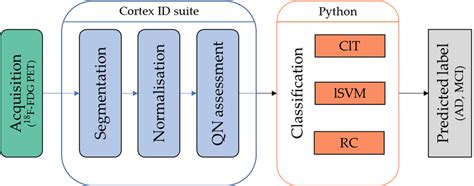 Overall Procedure Workflow Download Scientific Diagram