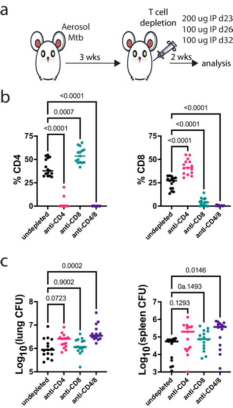 T 细胞调节肺巨噬细胞控制结核分枝杆菌的异质性 Nature Communications X Mol