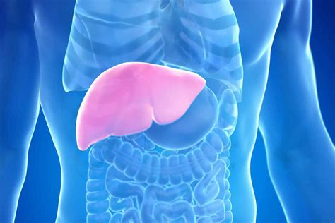 Understanding Cholangitis Symptoms And Treatment