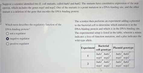 Solved Suppose A Scientist Identified Two E Coli Mutants