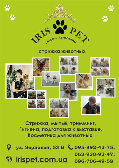 Trainer корм для собак и кошек - http://profkorm.com/korm-dlya-sobak ...