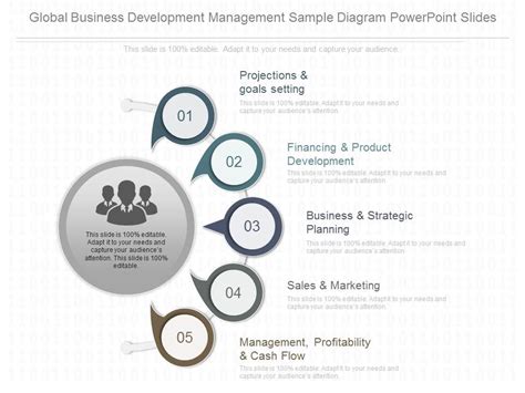 Global Business Development Management Sample Diagram Powerpoint Slides