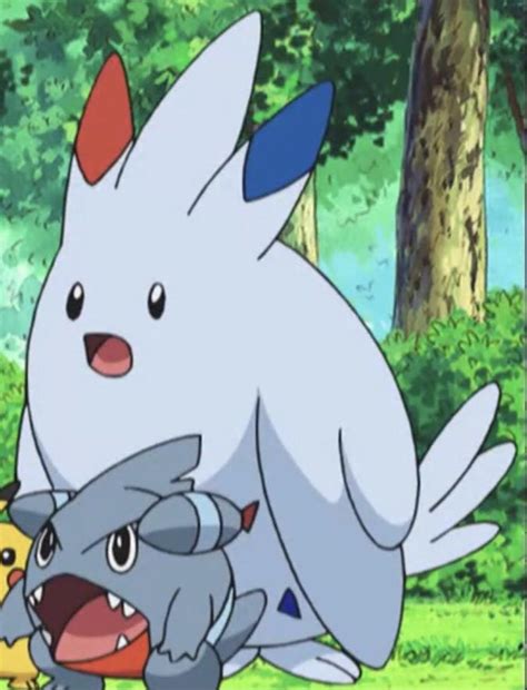 Surprised Togekiss Rpokemonanime