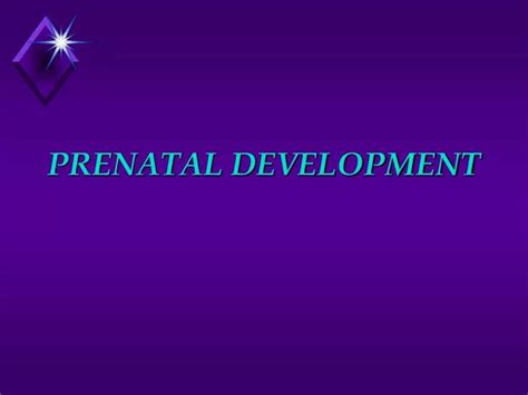Ppt Prenatal Development Powerpoint Presentation Free Download Id 6890168