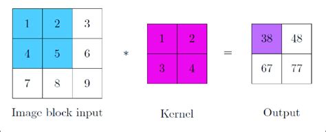 the convolution operation between an image input and a kernel