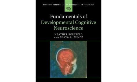 Buy Fundamentals Of Developmental Cognitive Neuroscience Cambridge Fundamentals Of Neuroscience