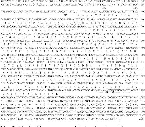 Figure 1 From Cloning Of A Bacillus Subtilis Wl 7 Mannanase Gene And Characterization Of The