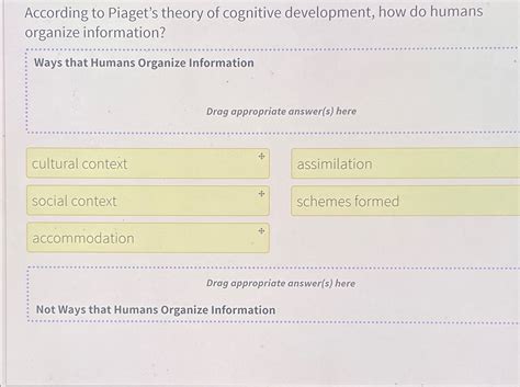 solved according to piaget s theory of cognitive