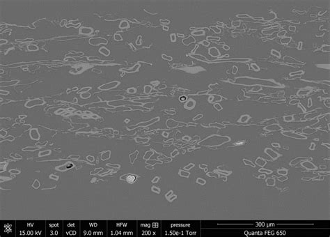 3 Sem Image Of Paper Cross Section Download Scientific Diagram