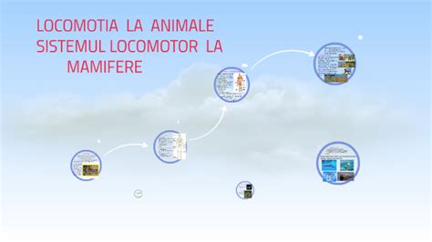 Locomotia La Mamifere By Haiduc Mihai Dumitru On Prezi