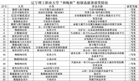 年和鲸杯大学生计算机设计竞赛校级选拔赛圆满落幕 辽宁理工职业大学