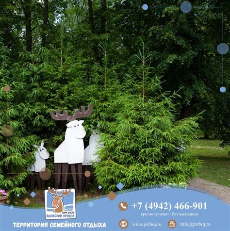 Единство с природой море развлечений для всей семьи и 輪активный отдых все это про лето в парк