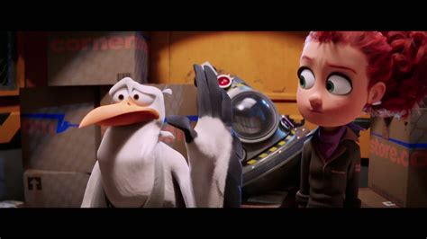 Storks Behind The Lens Online