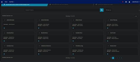 How To Remove Same Entitlement From Bulk Users From Identityiq Manage Access Iiq Discussion