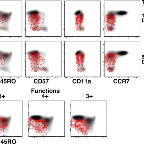 Vaccinia Virus Specific Cd8⁺ T Cells Have An Unusual Phenotype A Download Scientific Diagram