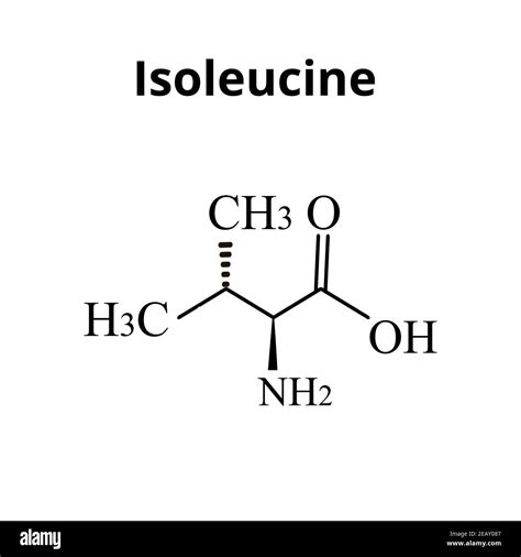 Isoleucine Amino Acid Structure Chiral Centers And How To Name Carbons