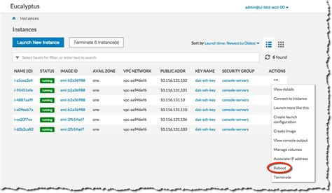 Reboot An Instance With The Management Console Eucastack